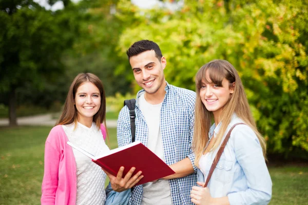 Students reading a book - Stock Image - Everypixel