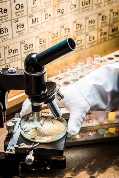 School Laboratory Exploring New Methods Plant Breeding Practical ...