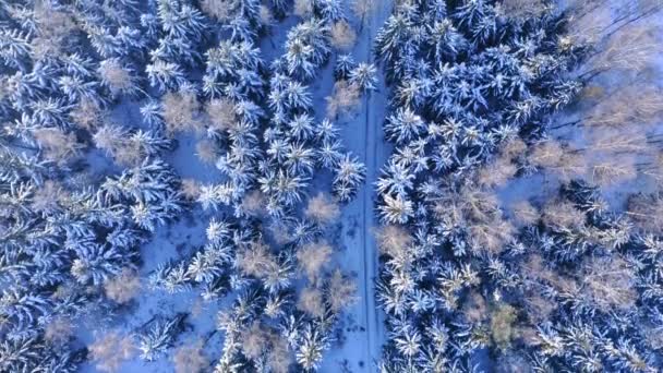 Vidéos pour Przyroda europy, Przyroda europy clips vidéo HD / 4K ...