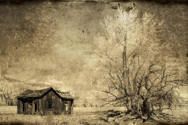 Forlorn Stock Photos, Royalty Free Forlorn Images | Depositphotos