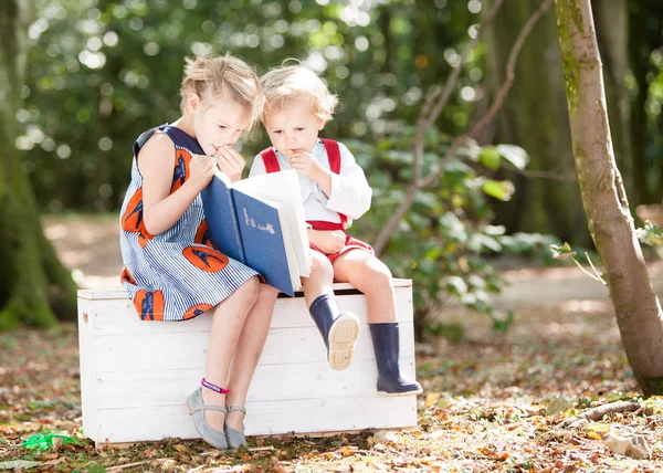 Children reading Fairy tale — Stock Photo © doglikehorse #66282963