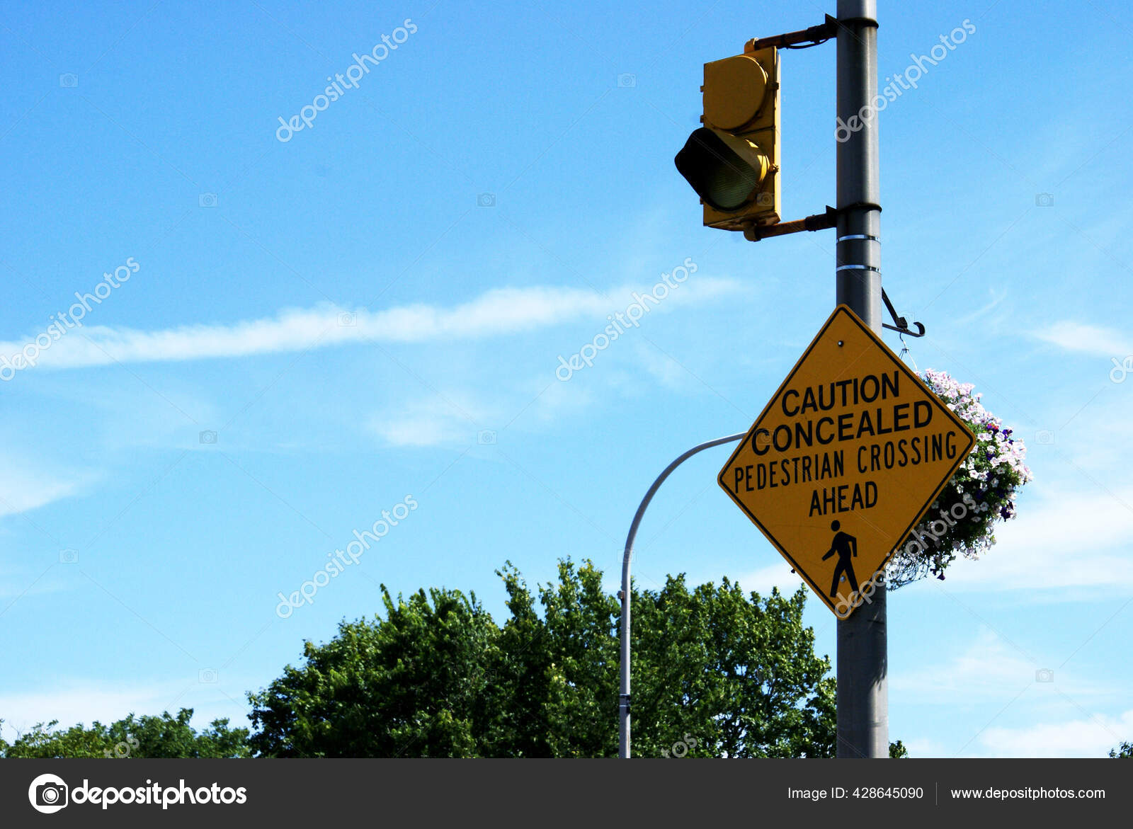 Sign Flashes Yellow Warning Light Notify Drivers Concealed Pedestrian ...