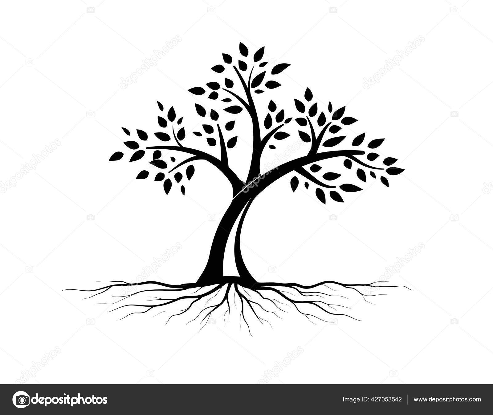 Tree Roots Black And White