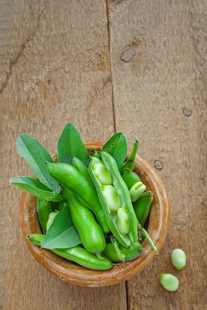 Green broad beans Stock Photo by ©Derkien 120526886