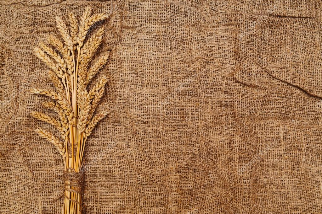 Wheat on old grey rustic textile background Stock Photo by ©sun_apple ...