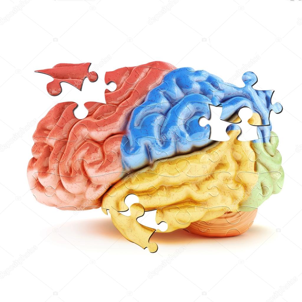 Learning the Brain — Stock Photo © digitalstorm #71733703