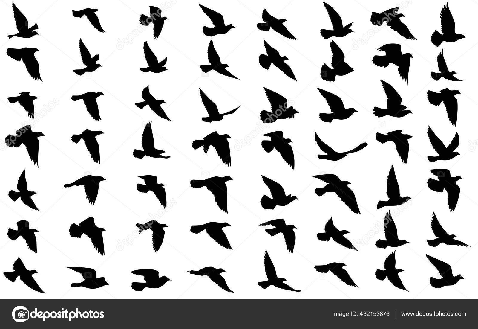 Flying Birds Silhouettes Isolated Background Vector Illustration ... Flying Birds Silhouettes Isolated Background Vector Illustration ...