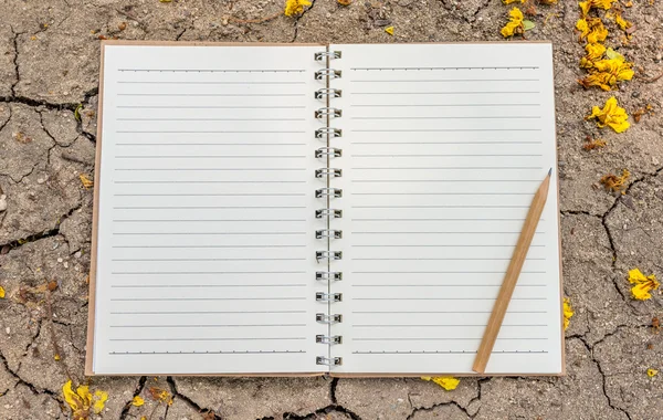 Notebook for nature concept - Stock Image - Everypixel