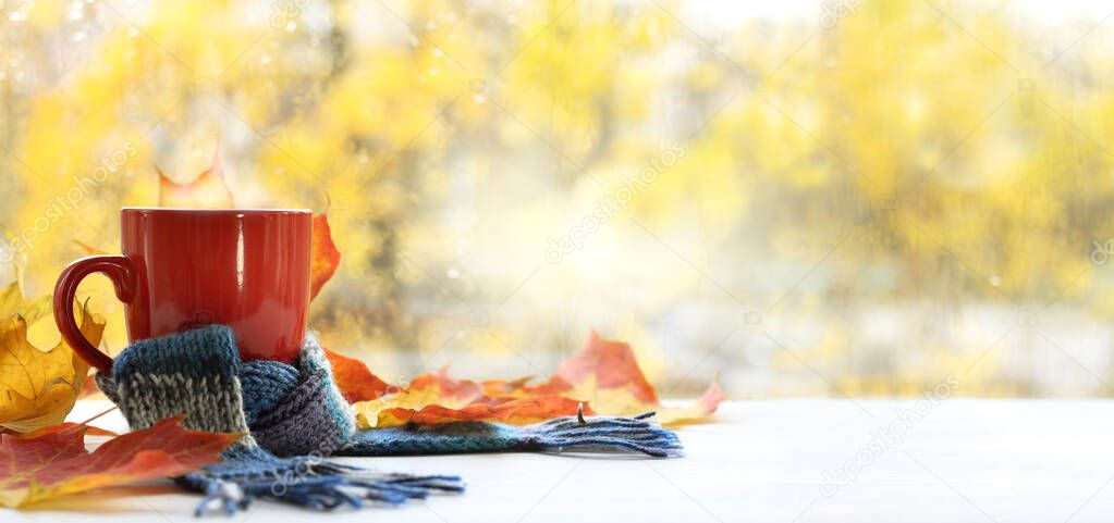 taza roja con una bufanda azul en una mesa con hojas de otoño en el ...