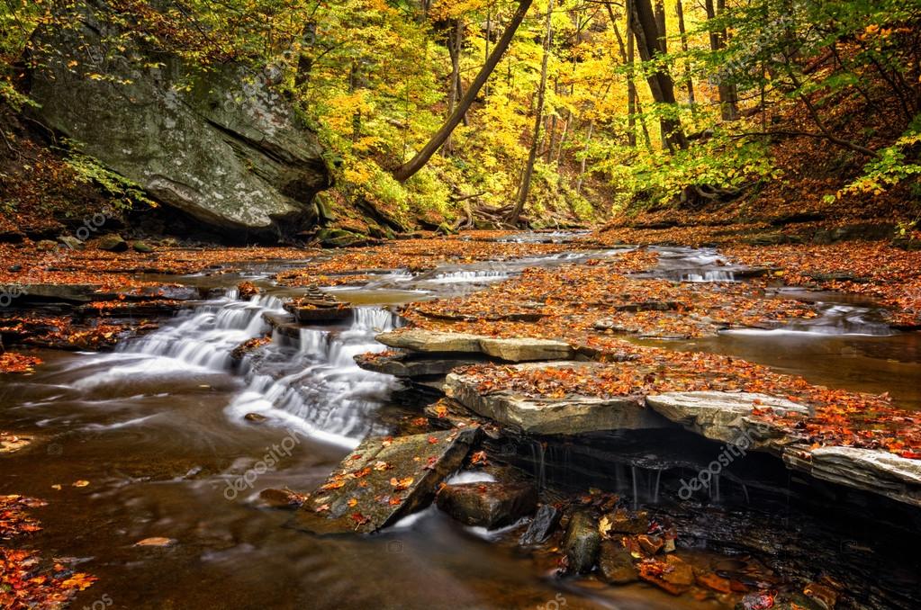 Peaceful Fall Images