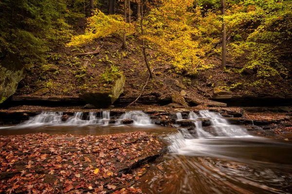 Autumn Waterfall Scene - Stock Image - Everypixel