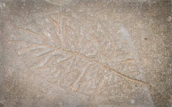 50 Leaf impression in stone Stock Photos, Leaf impression in stone ...