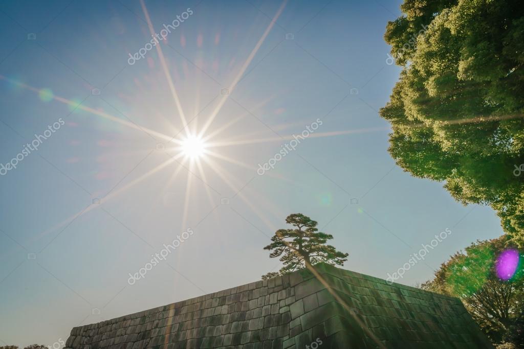 La fundaci n de una torre del castillo de Edo-jo, Jap n 2024