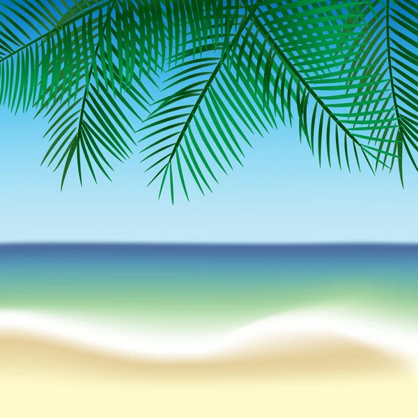 Natural Background with Palm Leaves and Beach Stock Vector Image by ...