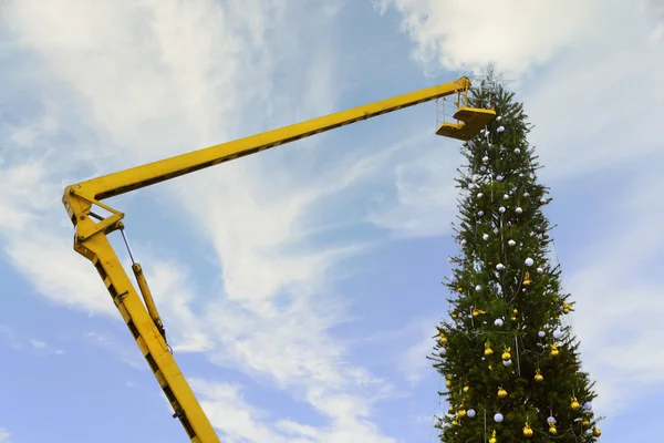 Assembling the tree Stock Photos, Royalty Free Assembling the tree ...