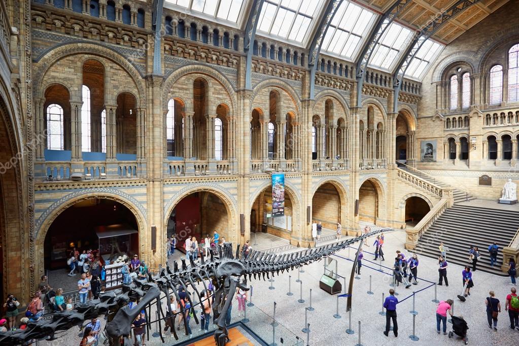 Natural History Museum interior with people, tourists and dinosaur ...