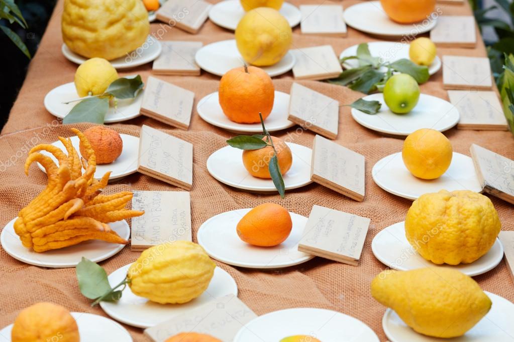 Different types of citrus fruits at Orticola fair in Milan, Italy ...