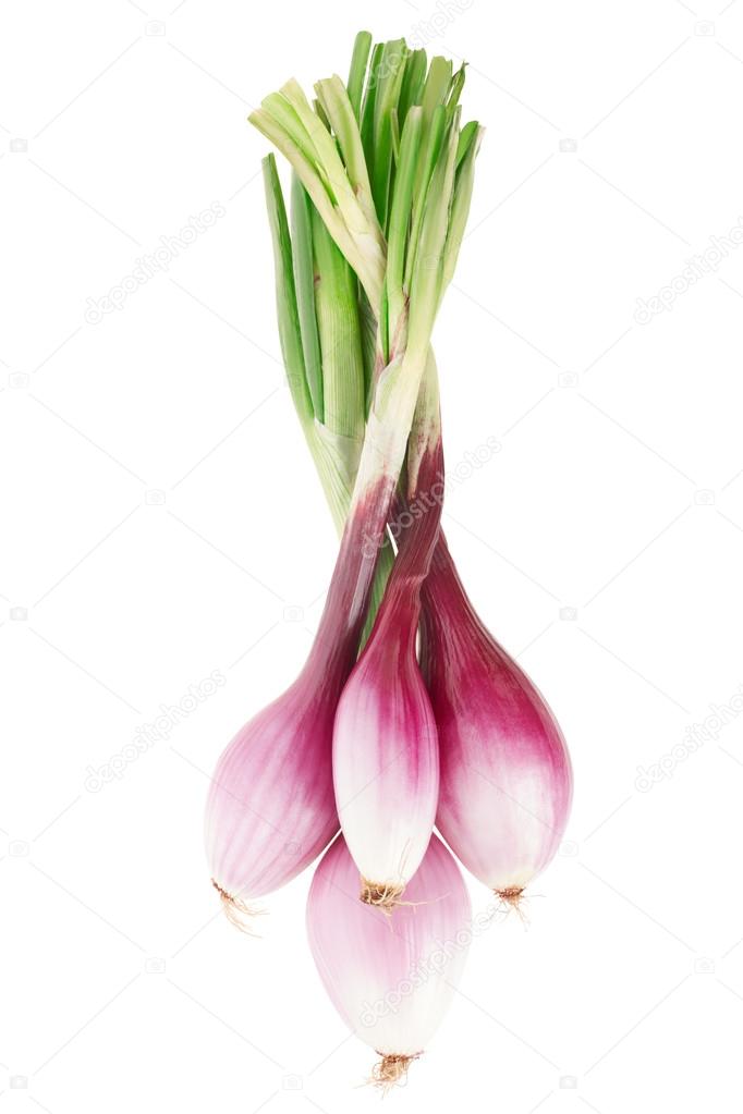 Ramo de cebollas rojas, tipo Tropea en blanco, camino de recorte 2023