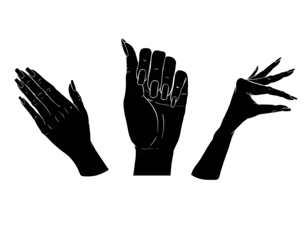 Funeral hands Stock Photos, Royalty Free Funeral hands Images ...