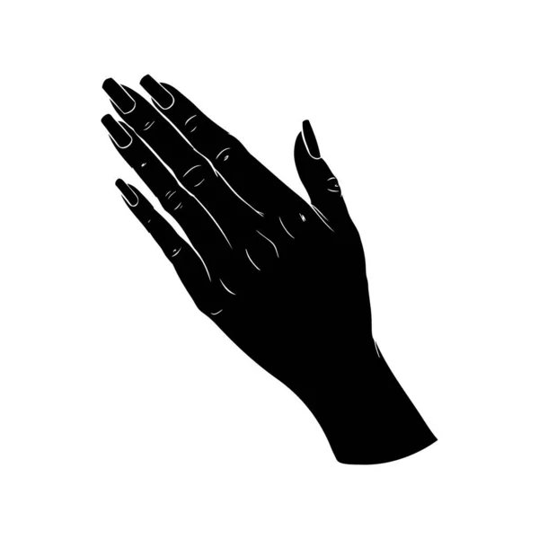 16,252,258 Hand outline Vector Images | Depositphotos