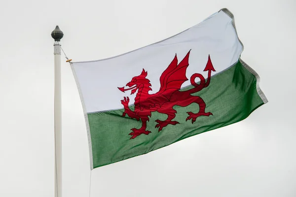 Symbol of wales Stock Photos, Royalty Free Symbol of wales Images ...