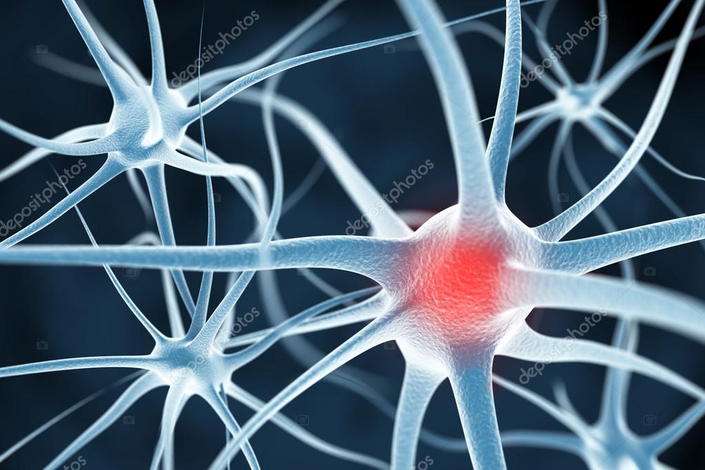 Neurons abstract background Stock Photo by ©SSilver 77160619