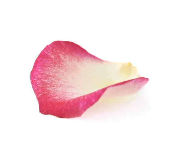 Single rose petal isolated Stock Photo by ©nbvf89 103422514