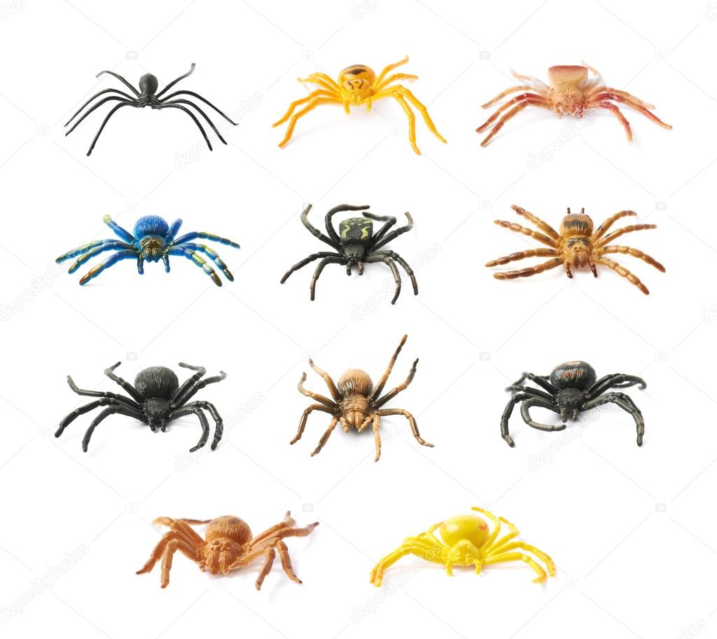 Fake rubber spider toy isolated Stock Photo by ©nbvf89 115329550