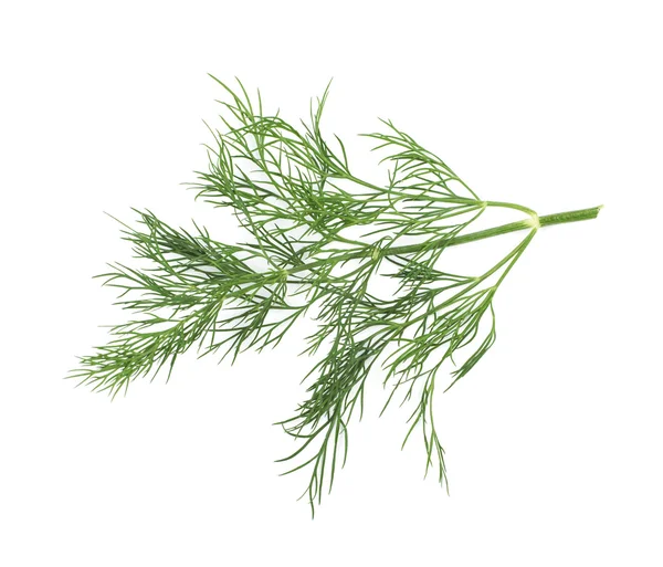 Dill branch Stock Photos, Royalty Free Dill branch Images | Depositphotos