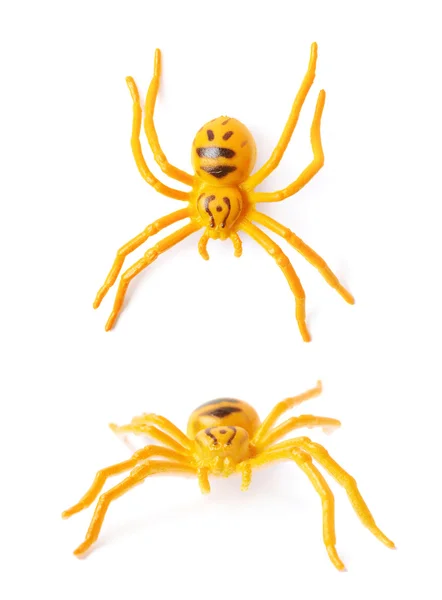 Fake rubber spider toy isolated Stock Photo by ©nbvf89 115329550