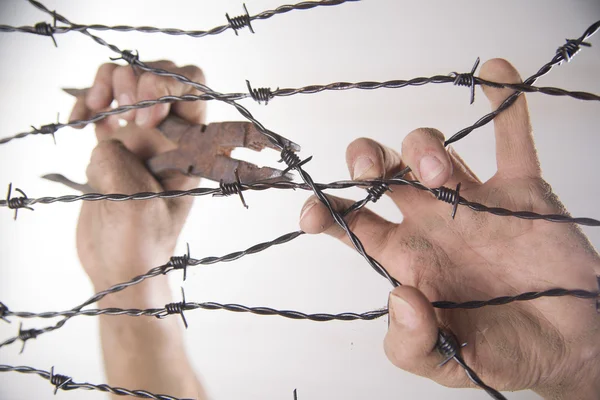 Hands in barbed wire Stock Photo by ©Fotografiche 109998630
