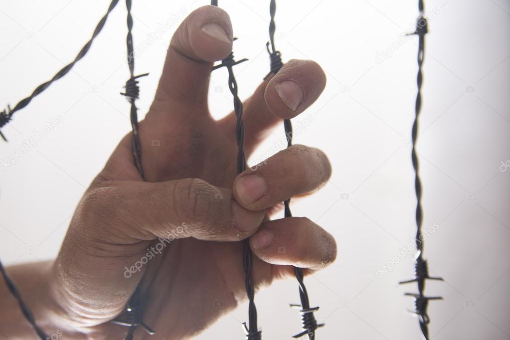 Hands in barbed wire Stock Photo by ©Fotografiche 109997492
