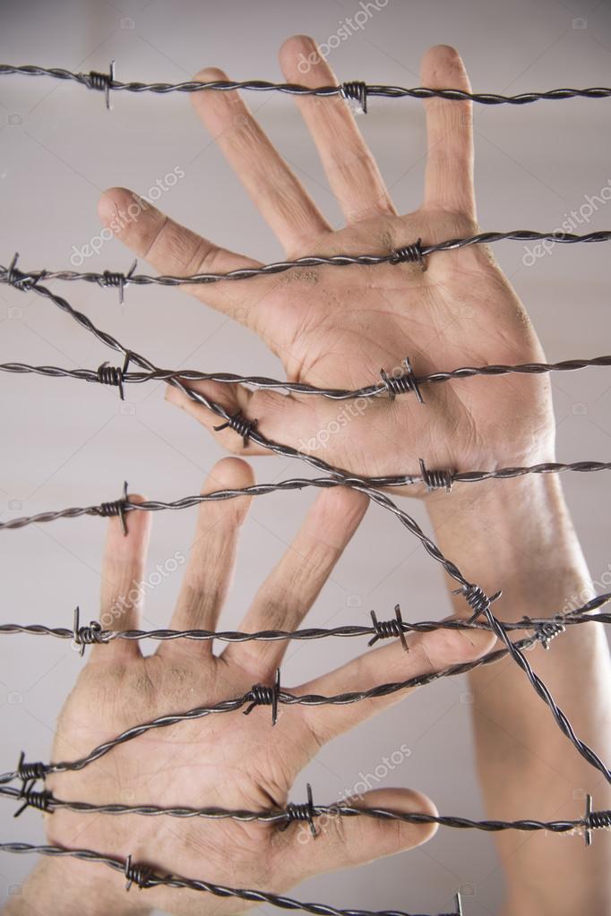 Hands in barbed wire Stock Photo by ©Fotografiche 109998428
