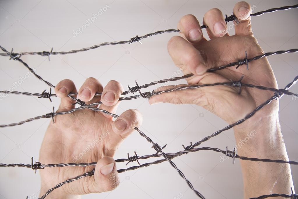Hands in barbed wire Stock Photo by ©Fotografiche 109998630