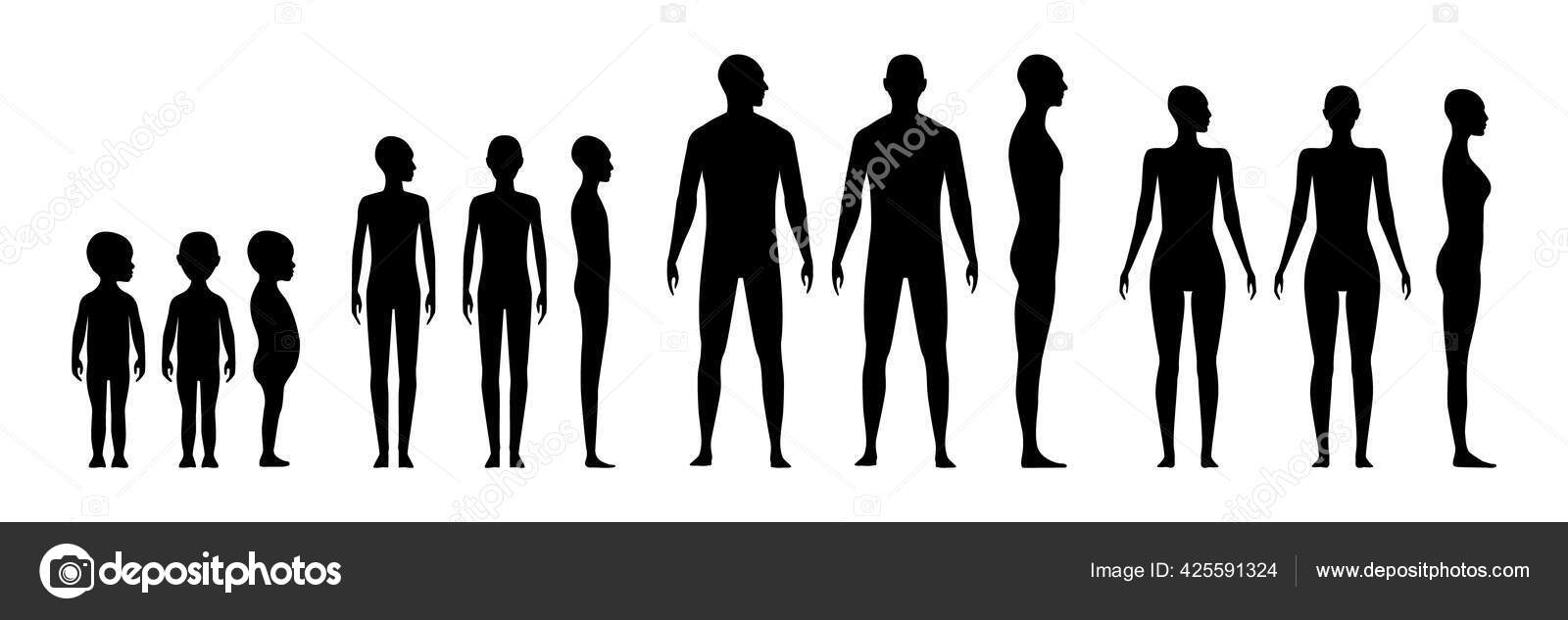 Front Side View Human Body Silhouette Adult Male Female Gender Stock ...