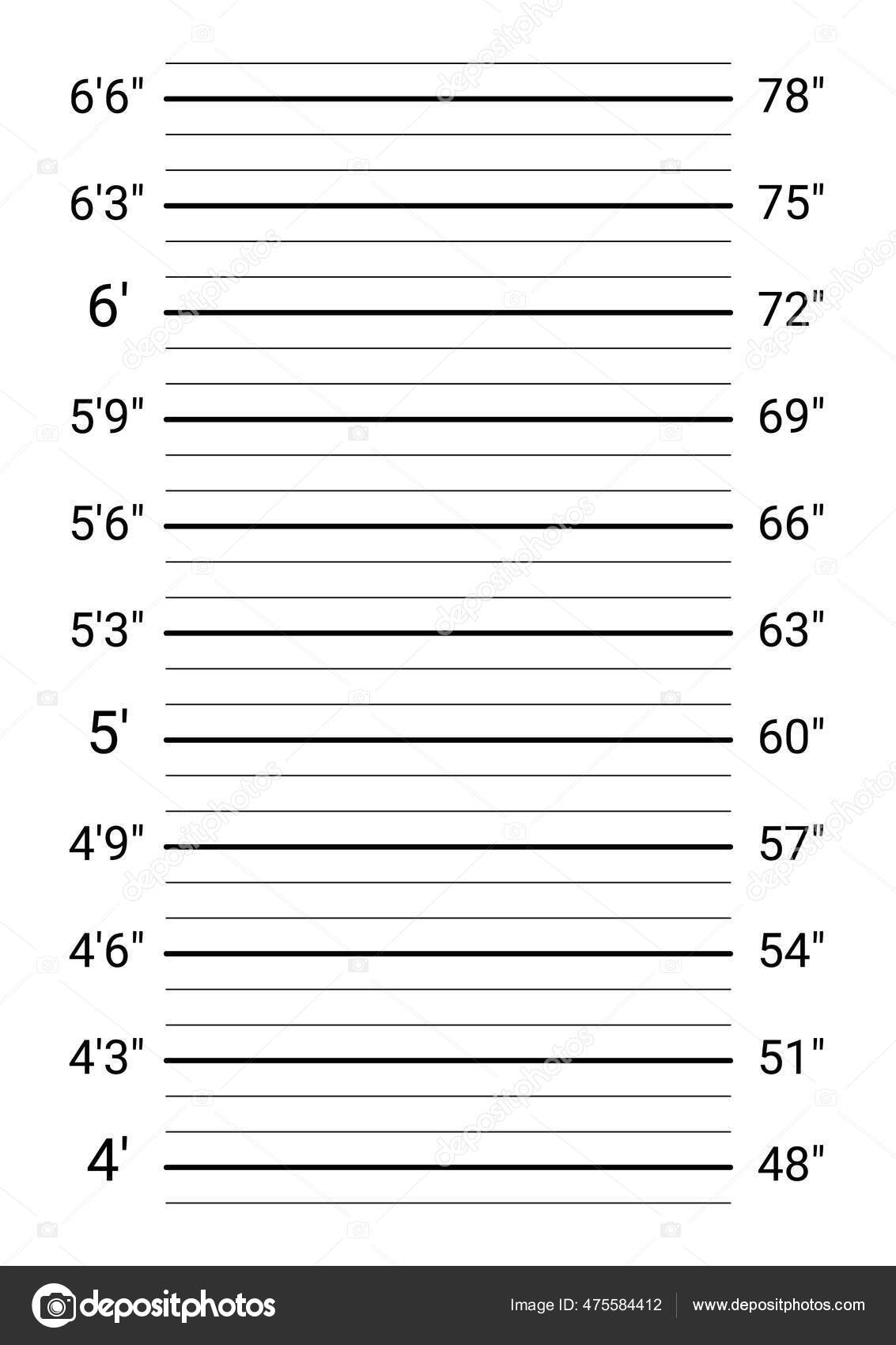 Mugshot Background Police Lineup Wall Imperial Units Scale Stock Vector