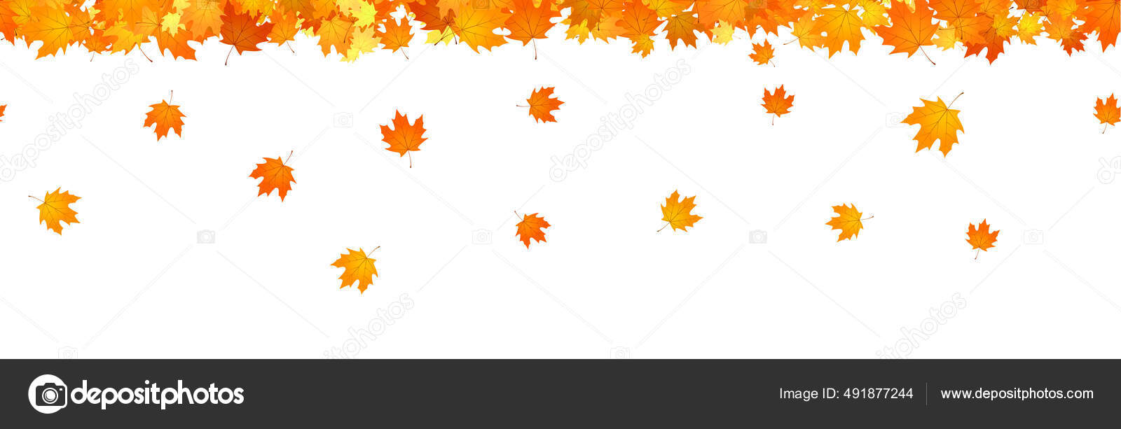 Autumn Header Overlay Falling Maple Leaves Stock Vector Image by ...