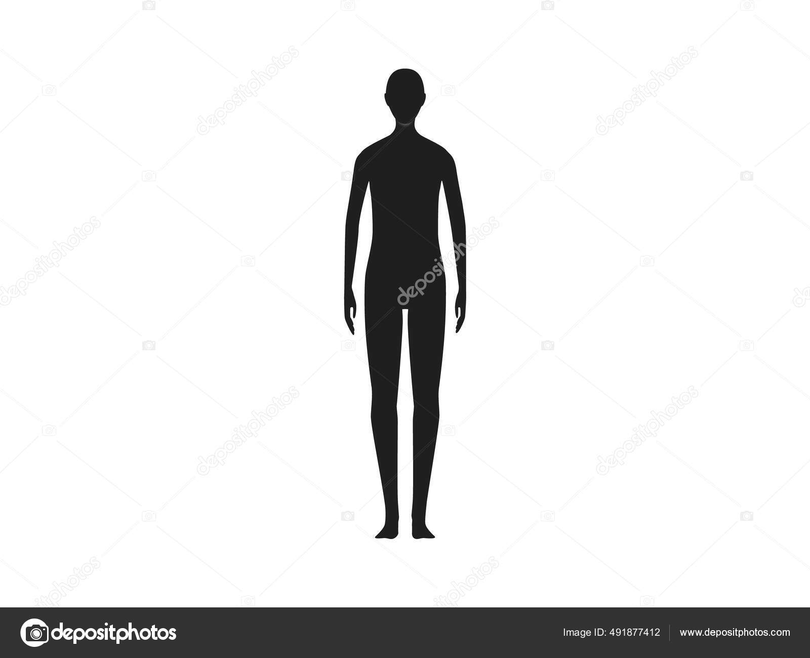 Front View Gender Human Body Silhouette Stock Vector by ©arseniuk ...