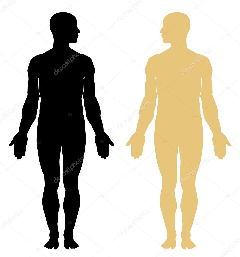 Man body silhouette Stock Vector by ©leopolis 86225710