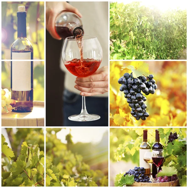 Wine collage Stock Photo by ©belchonock 54273509