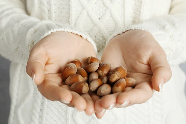 Pile of forest nuts - Stock Image - Everypixel