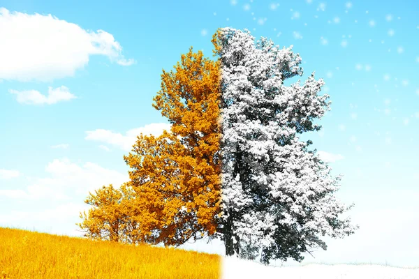 Meteorological seasons Stock Photos, Royalty Free Meteorological ...