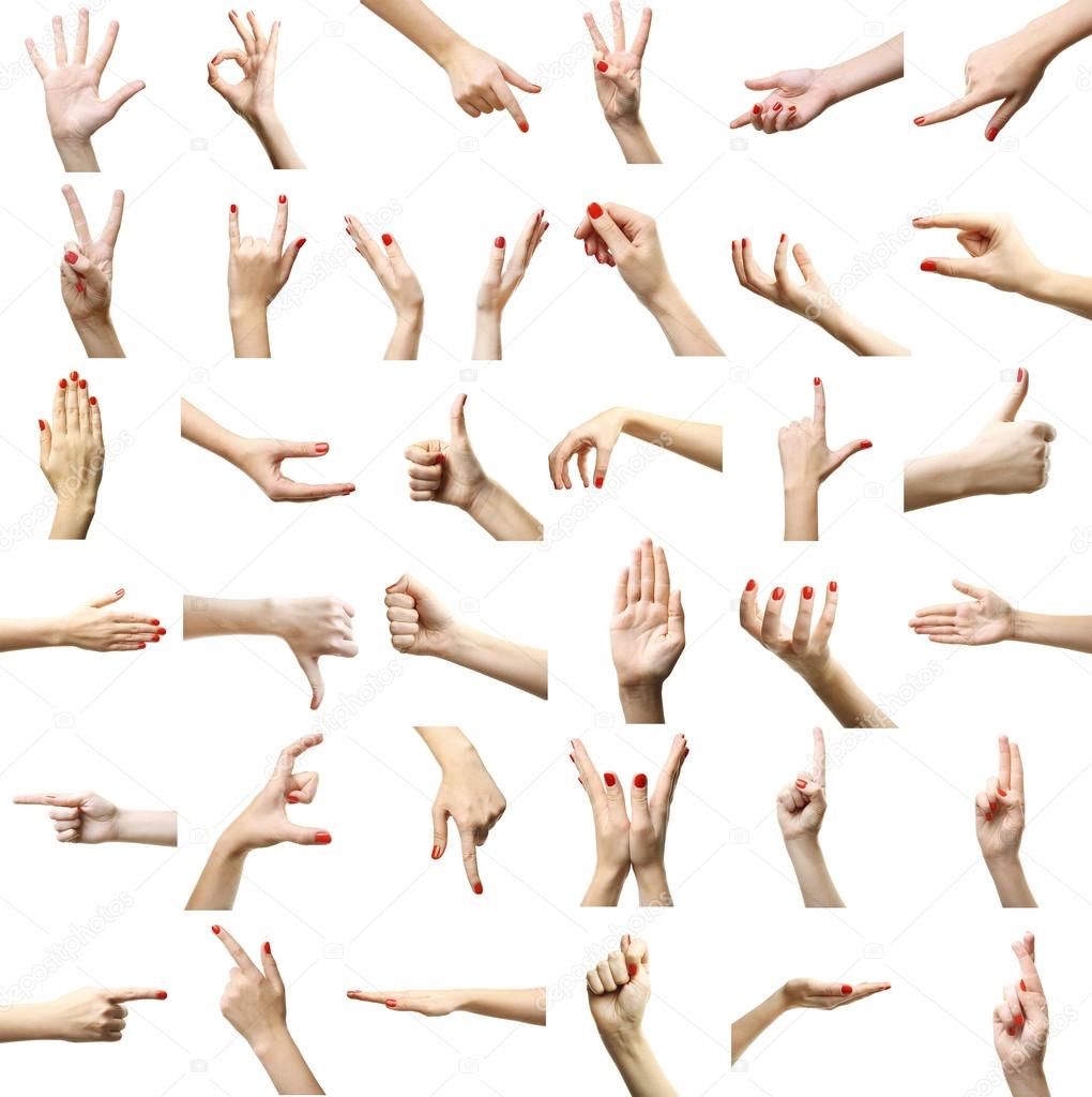 Set of female hands gestures, isolated on white Stock Photo by ...