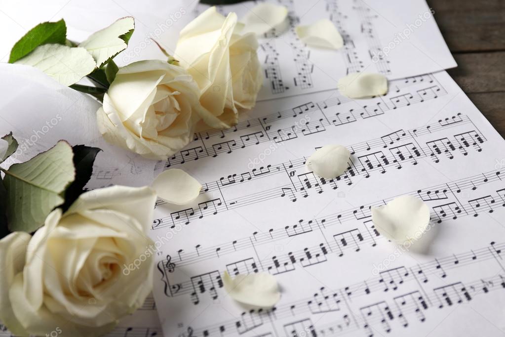 Beautiful roses on music sheets Stock Photo by ©belchonock 104838960