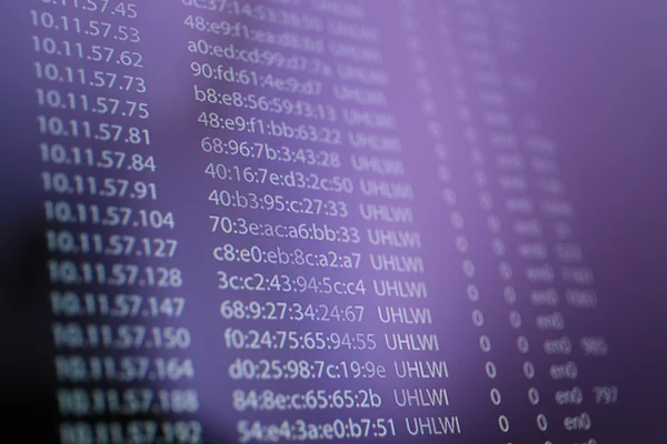 Web site codes on screen — Stock Photo © belchonock #146158759