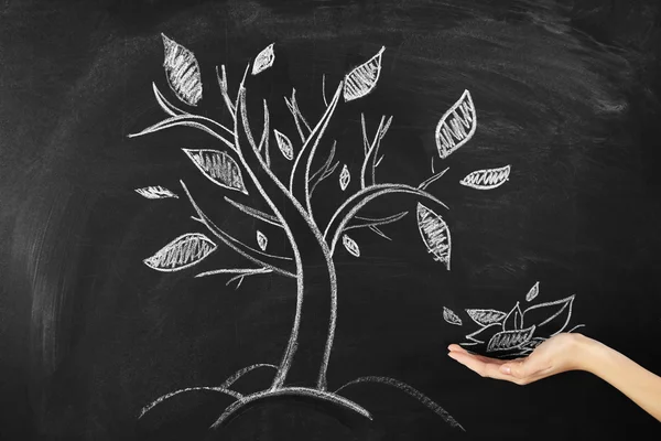 hand catching leaves painted on chalkboard - Stock Image - Everypixel