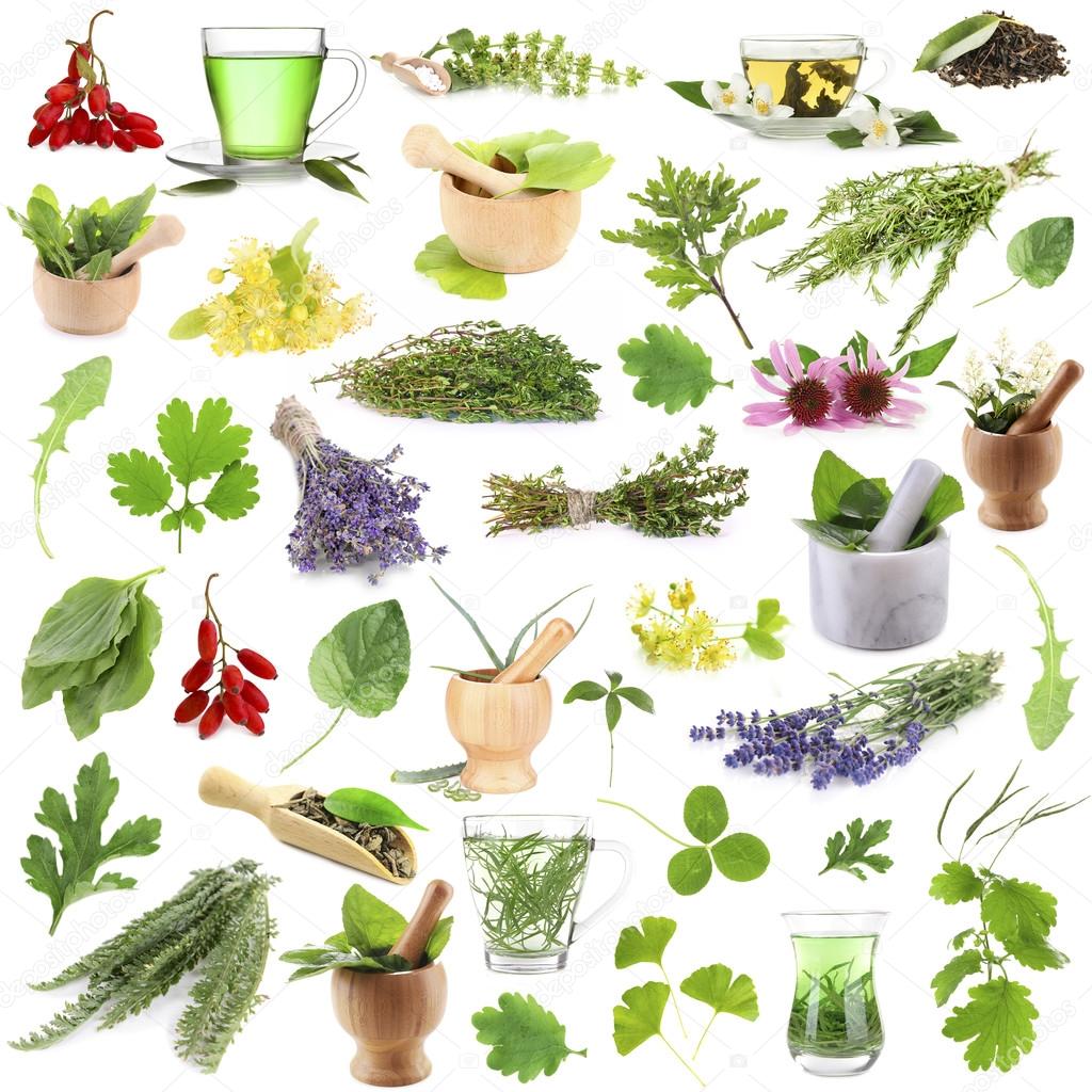 Collage of medicinal herbs Stock Photo by ©belchonock 110131068