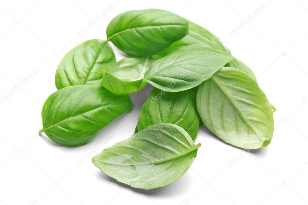 Fresh basil leaves Stock Photo by ©belchonock 113564278