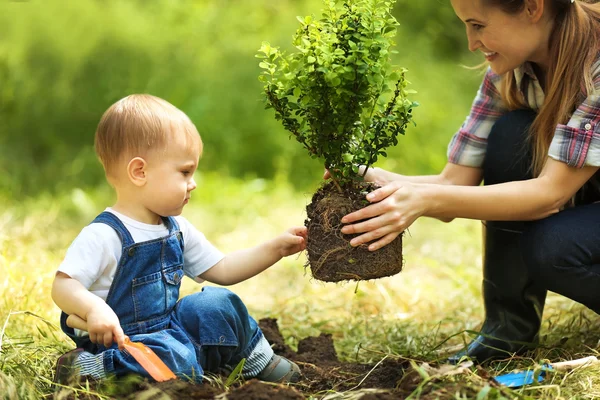 Baby boy planting tree with parent — Stock Photo © belchonock #118556860