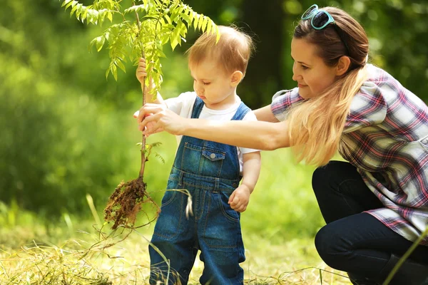 Baby boy planting tree with parent — Stock Photo © belchonock #118556860